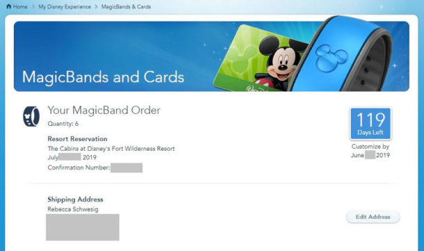 Magic Bands 101 - Pixie Dust Storm